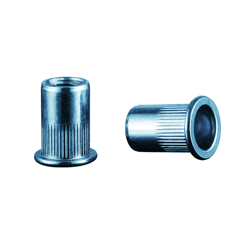 Blind Rivets Manufacturer - 2023 Affordable Supplier in China